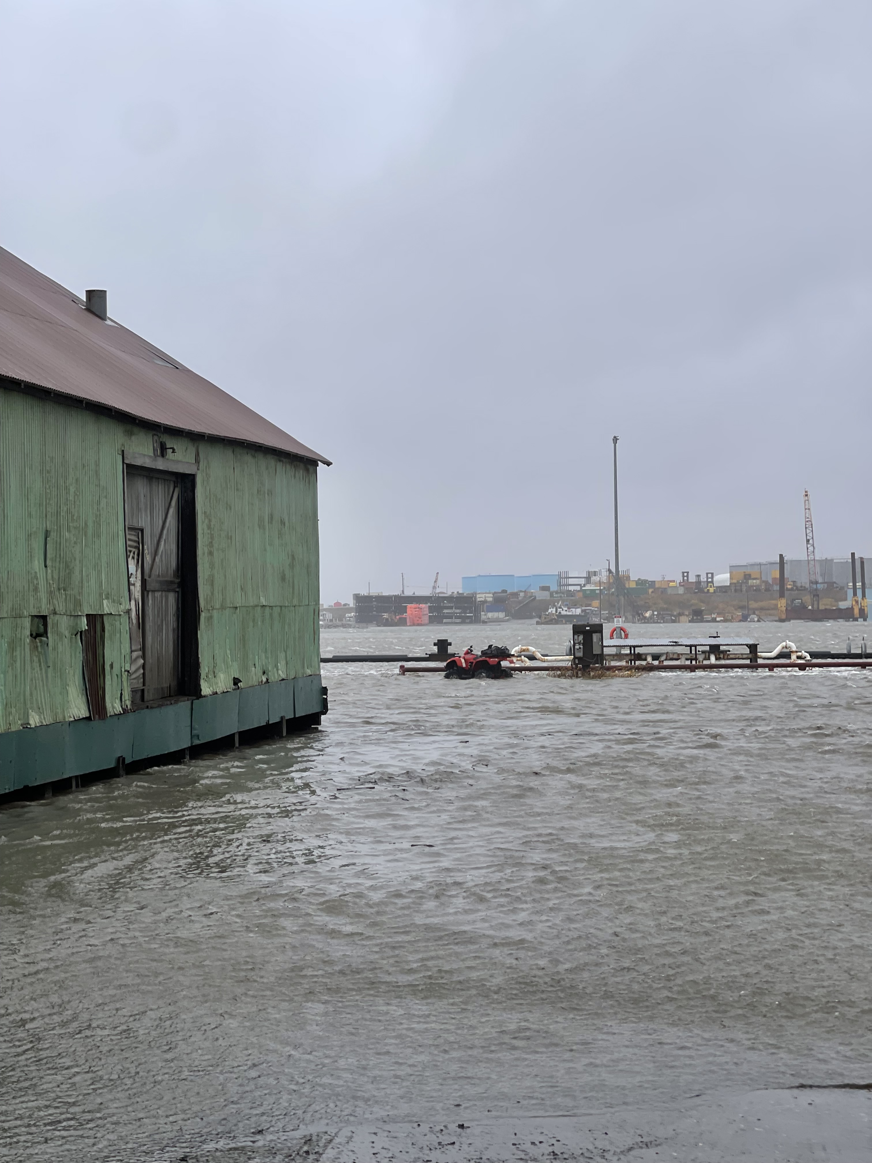 In the Aftermath of Typhoon Merbok – WHALESONG